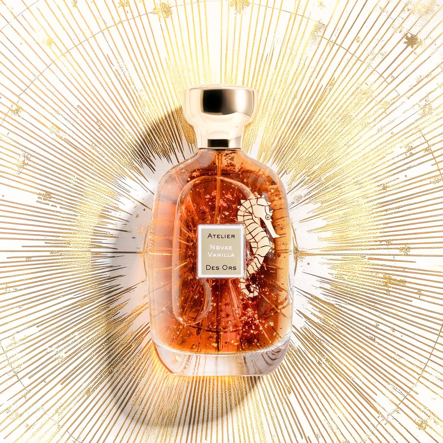 Novae Vanilla – Marc Gebauer